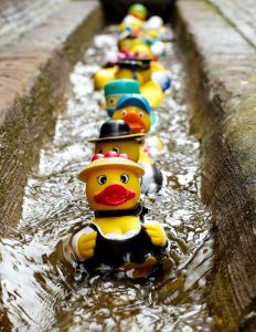 Make a Splash With Custom Rubber Ducks - iPromo Blog
