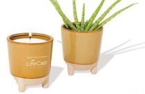 What is a Tchotchke and Where Did the Name Come From? - iPromo Blog